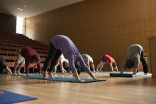 Yoga Classes Near Me - Easily Find Yoga Classes Near You
